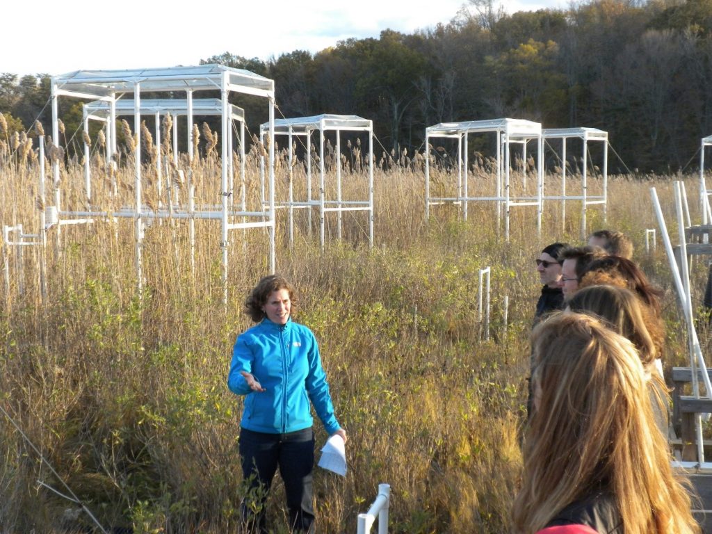 #MySciComm: Ariana Sutton-Grier’s Confessions of a Not- Quite-Broadway ...