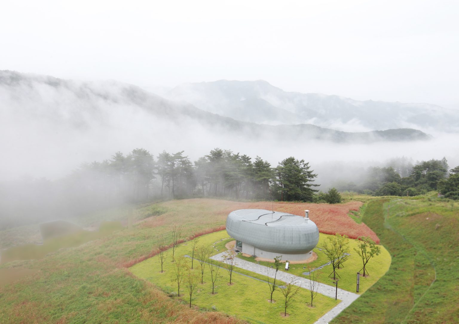 Preserving the Future: The Importance of Seed Vaults in Conserving Wild ...