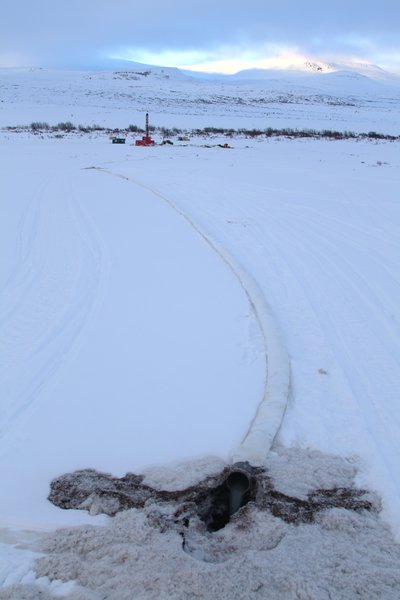 In ecology news– land-walking octopi, turtle locomotion, Pebble Mine ...