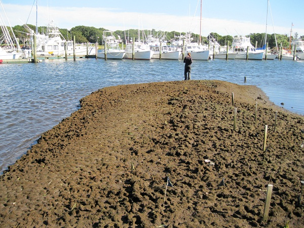 Depression-era drainage ditches emerge as sleeping threat to Cape Cod ...