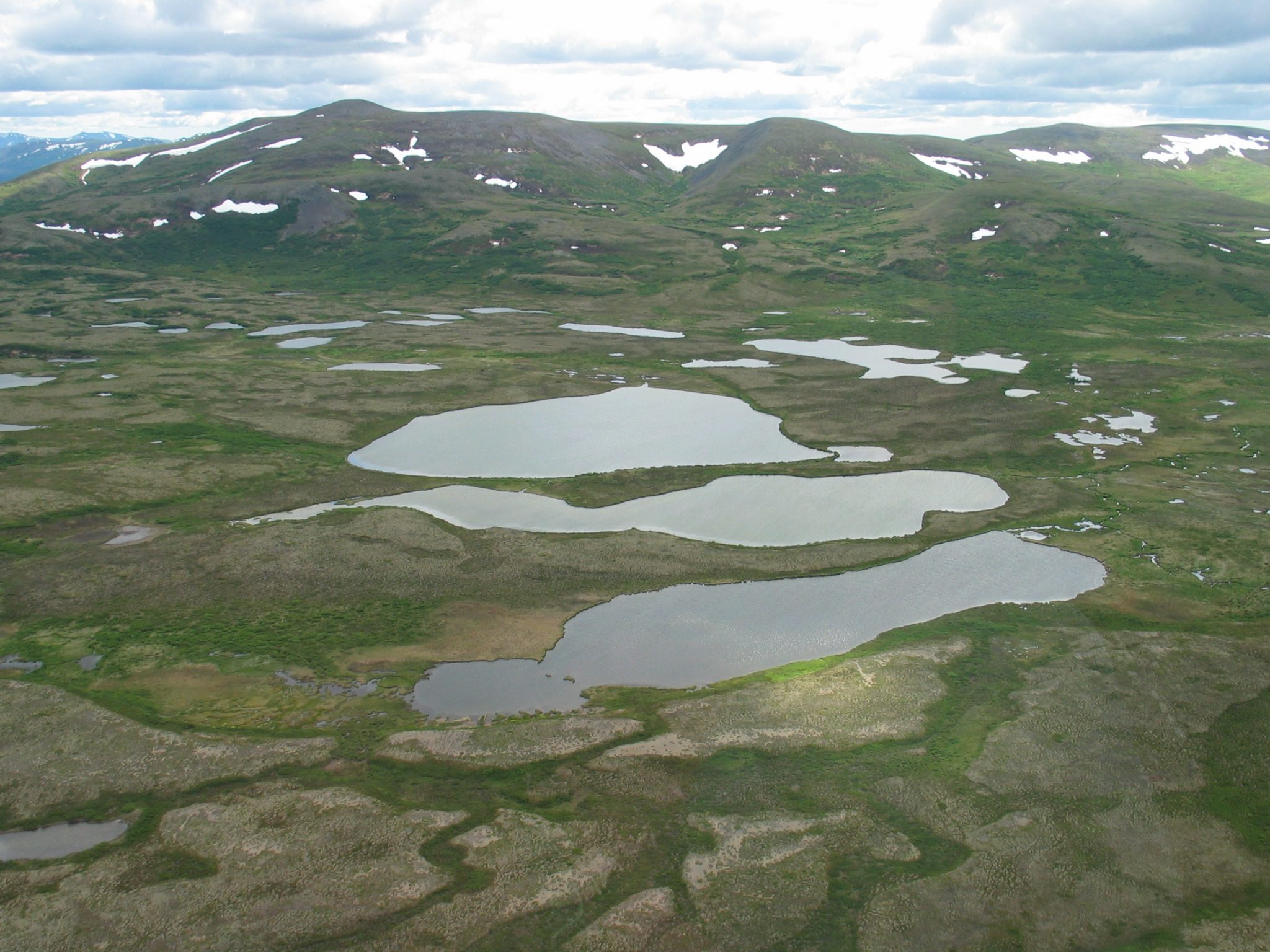 Integrating geographically isolated wetlands into land management ...