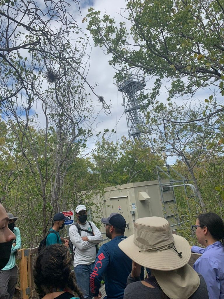 ESA’s SEEDS students visit Puerto Rico – Ecotone | News and Views on ...