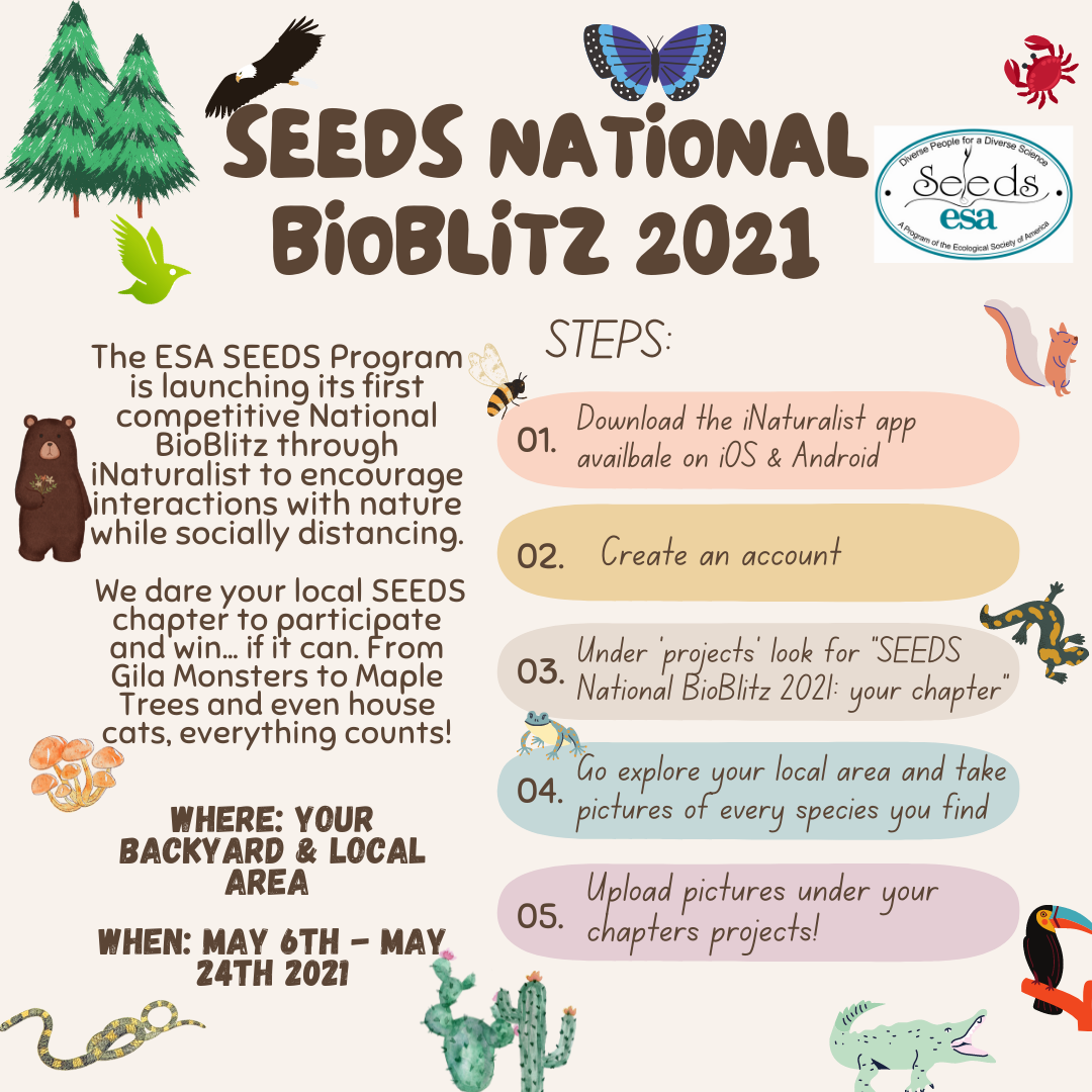 2021 SEEDS National BioBlitz – Virtual Edition! – SEEDS