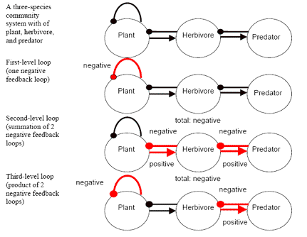 Using Student Generated Qualitative Ecological Models (Description)