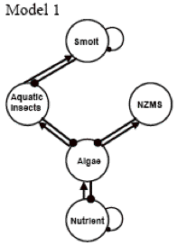 Using Student Generated Qualitative Ecological Models (Description)