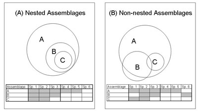 An Assessment of Assemblage Nestedness in Habitat Fragments (Description)