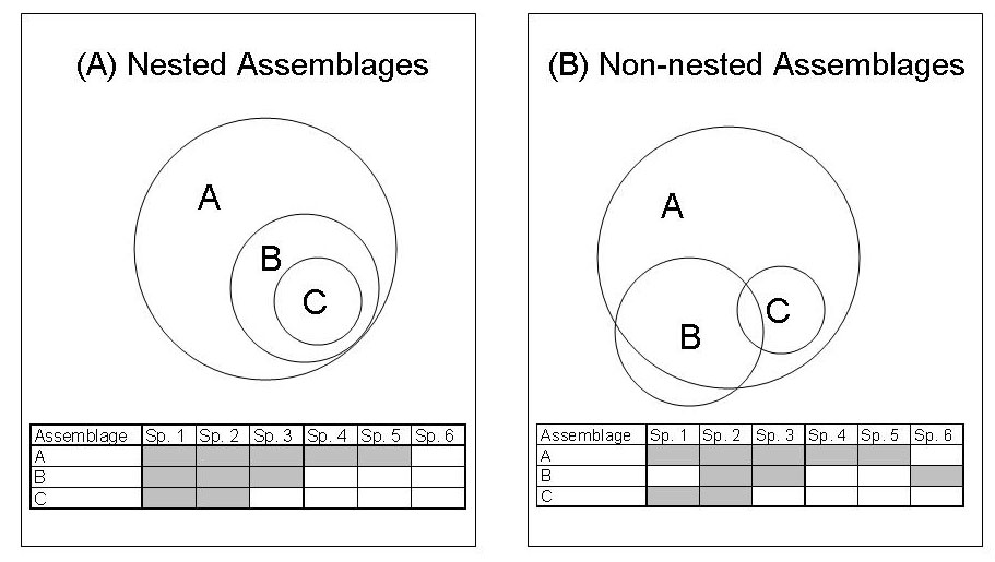 An Assessment of Assemblage Nestedness in Habitat Fragments (Description)