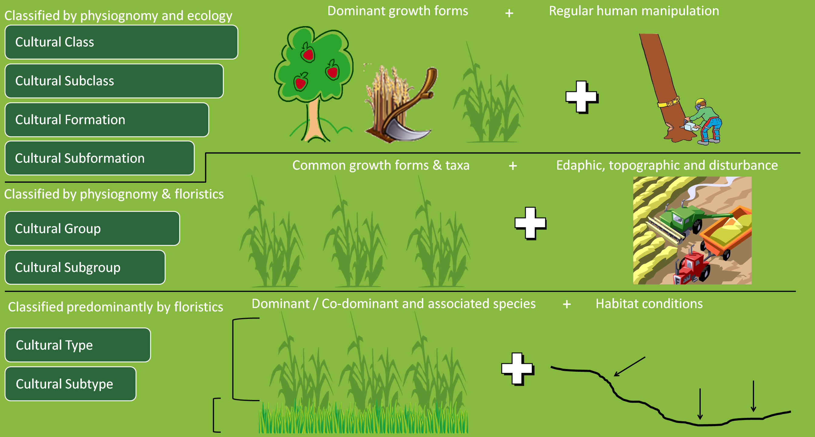 Cultural Vegetation Classification – ESA Vegetation Classification Panel