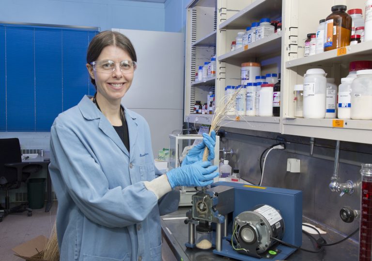 What Is Ecology? – Ecological Society of America