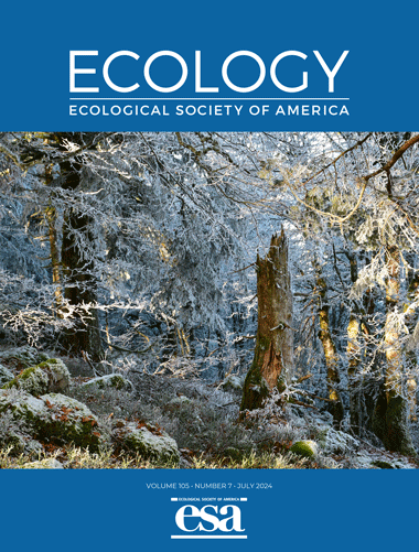 You are being redirected...